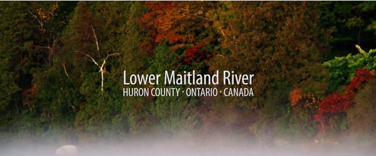 Lower Maitland River Video - Huron Stewardship Council