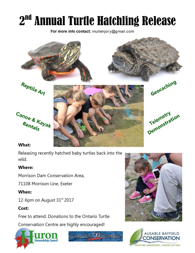 2nd Annual Turtle Release - Huron Stewardship Council