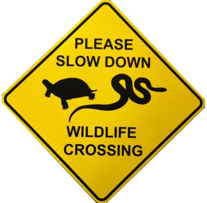 "Wildlife Crossing" signs to be put up in Huron County - Huron ...