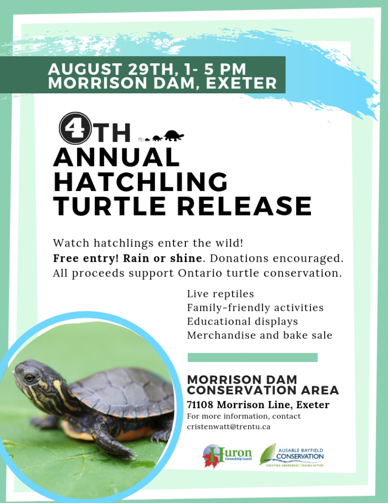 Join us on August 29th for the Fourth Annual Turtle Release! - Huron ...