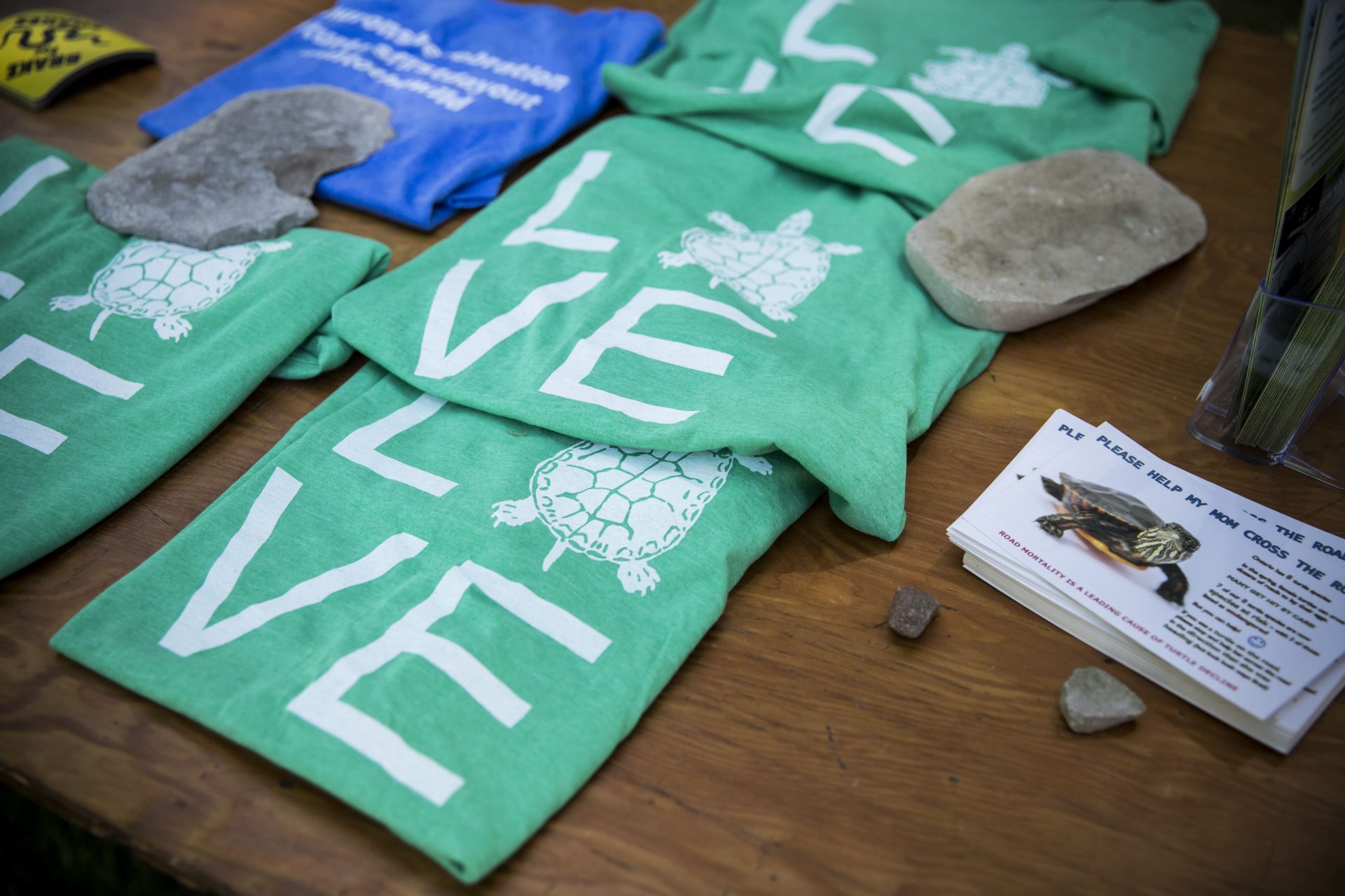 Fourth Annual Turtle Release a huge success! - Huron Stewardship Council