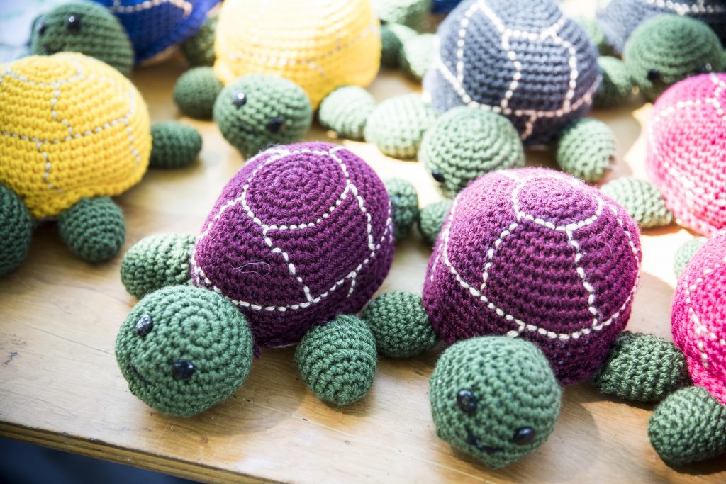 Fourth Annual Turtle Release a huge success! - Huron Stewardship Council