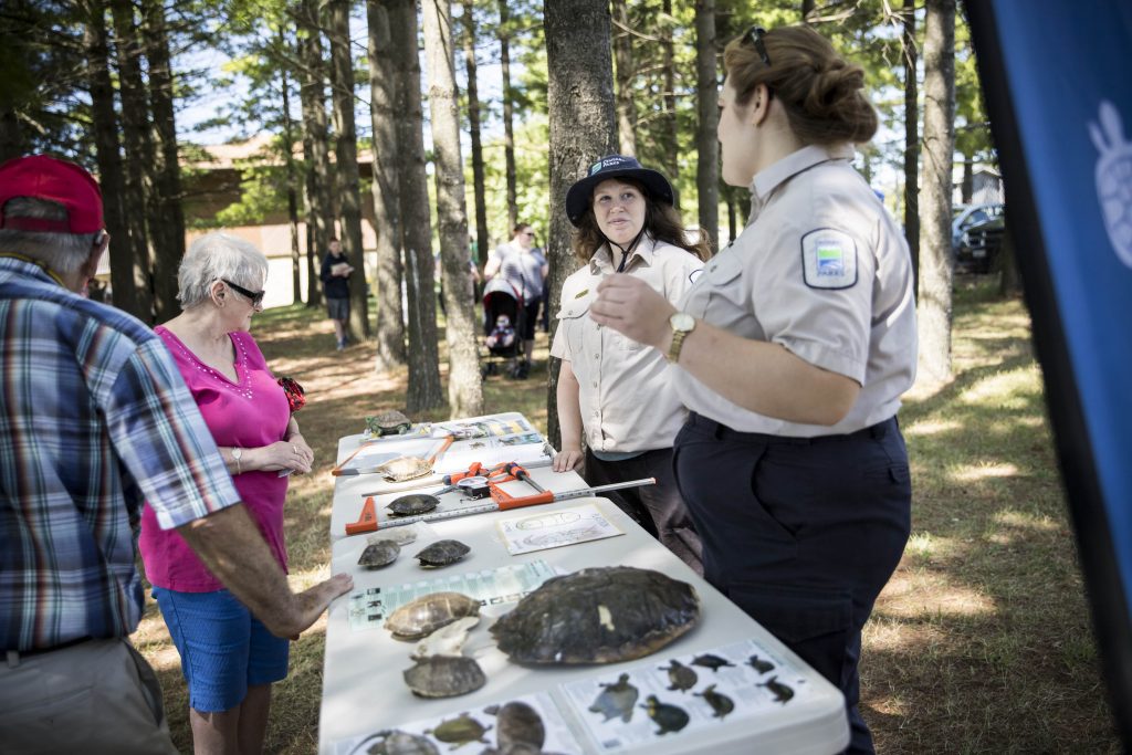Fourth Annual Turtle Release a huge success! - Huron Stewardship Council