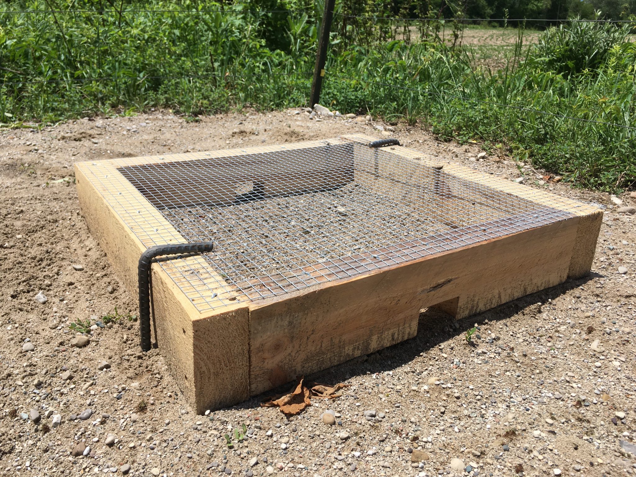 Turtle nesting season has come to a close - Huron Stewardship Council